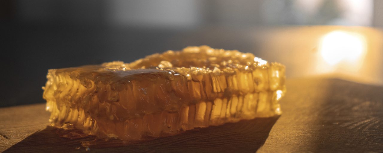 World Bee Mark© - World Bee Project