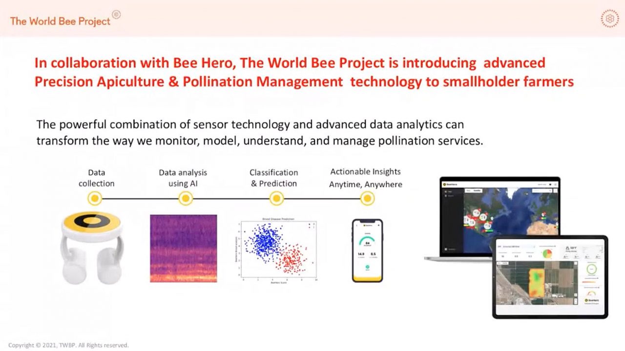 The World Bee Project speaking at Crops, Seeds & Soil Tech (CSS) 4 ...