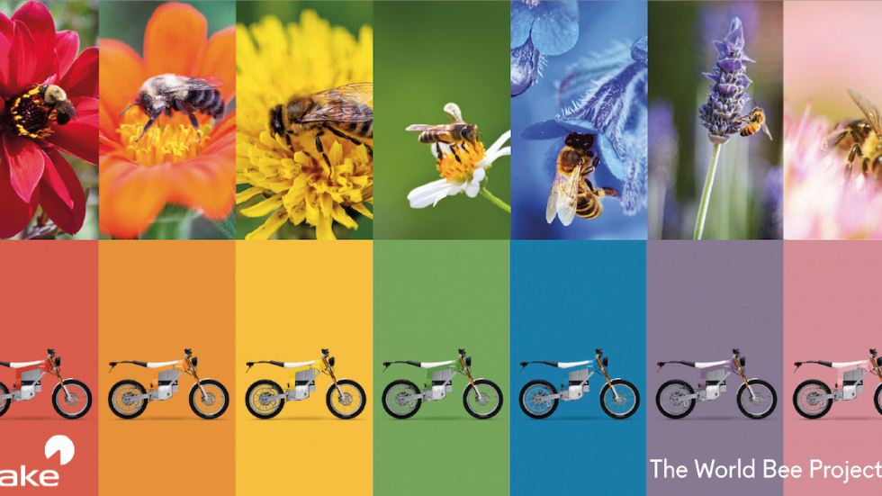 2022 - World Bee Project