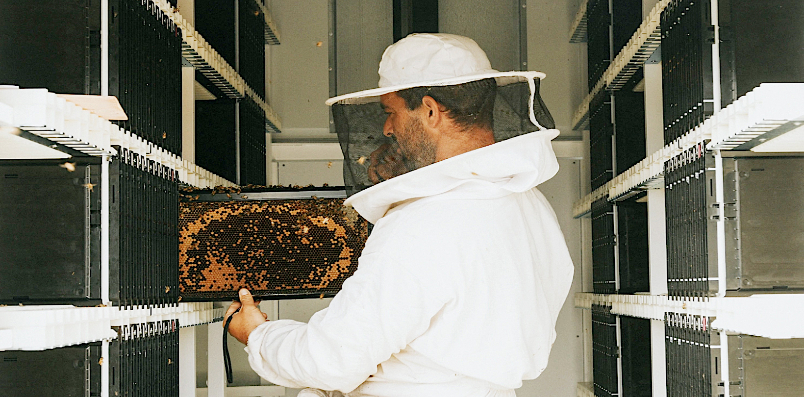 The European Bee Award 2022 winners are ‘Veitshöchheimer Hempmix’ and ...