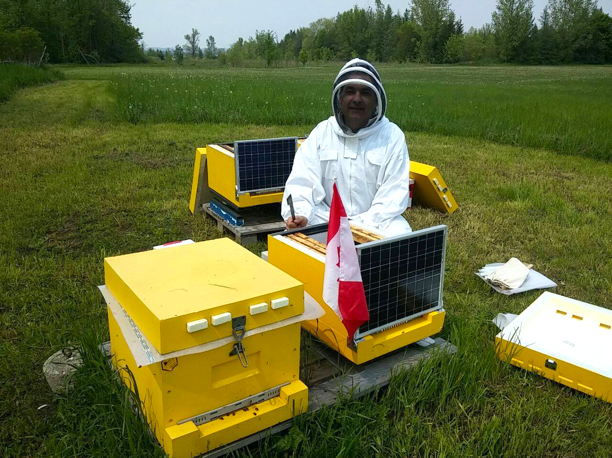 Restoring Beekeeping & Pollination, Ukraine - World Bee Project